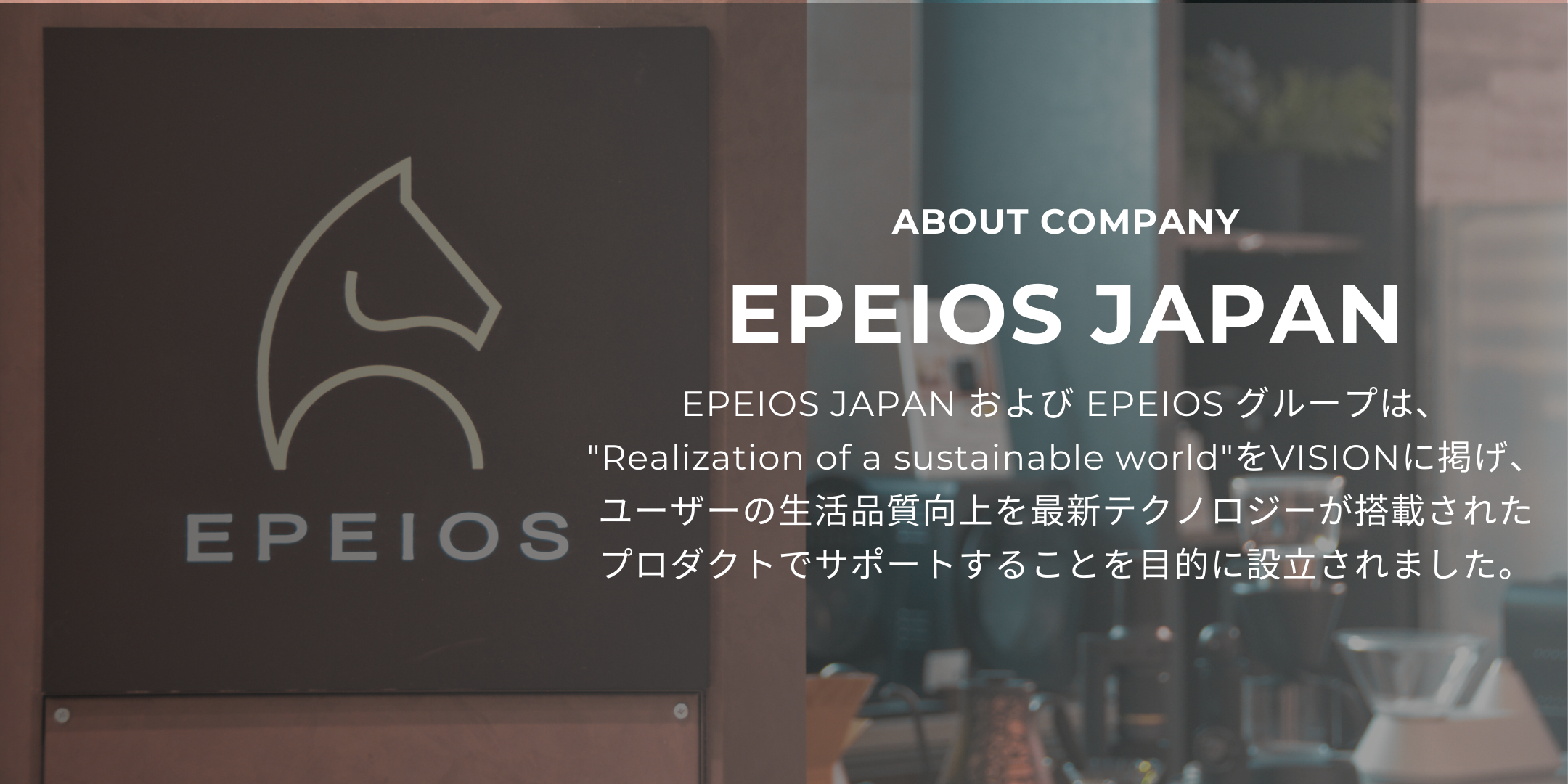 企業情報 / EPEIOS JAPAN