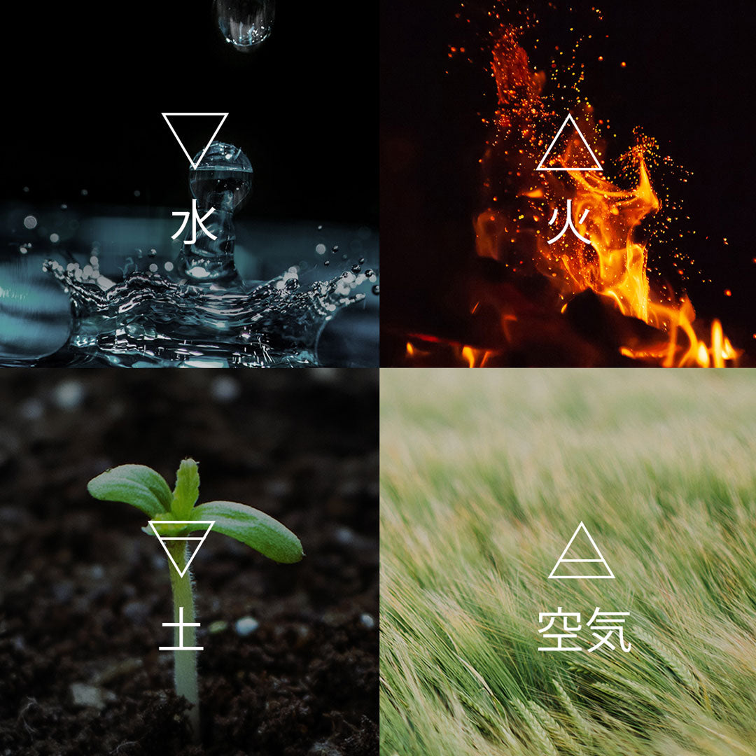 FoElem | フォーエレム／FoElem Story