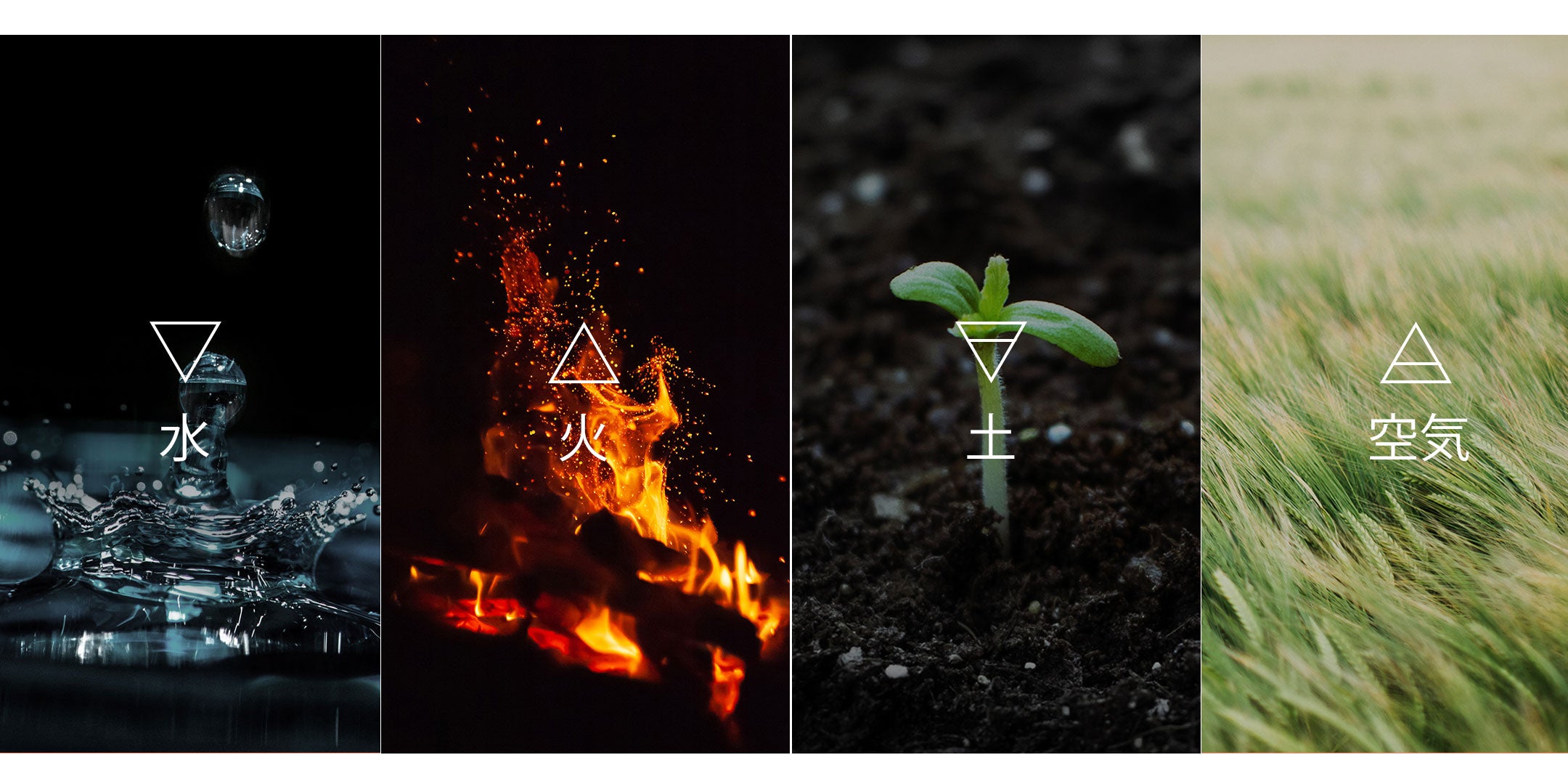 FoElem | フォーエレム／FoElem Story